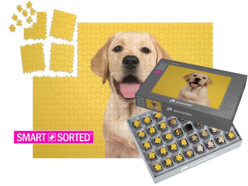 „Smart Sorted“ von puzzleYou | das spielzeug